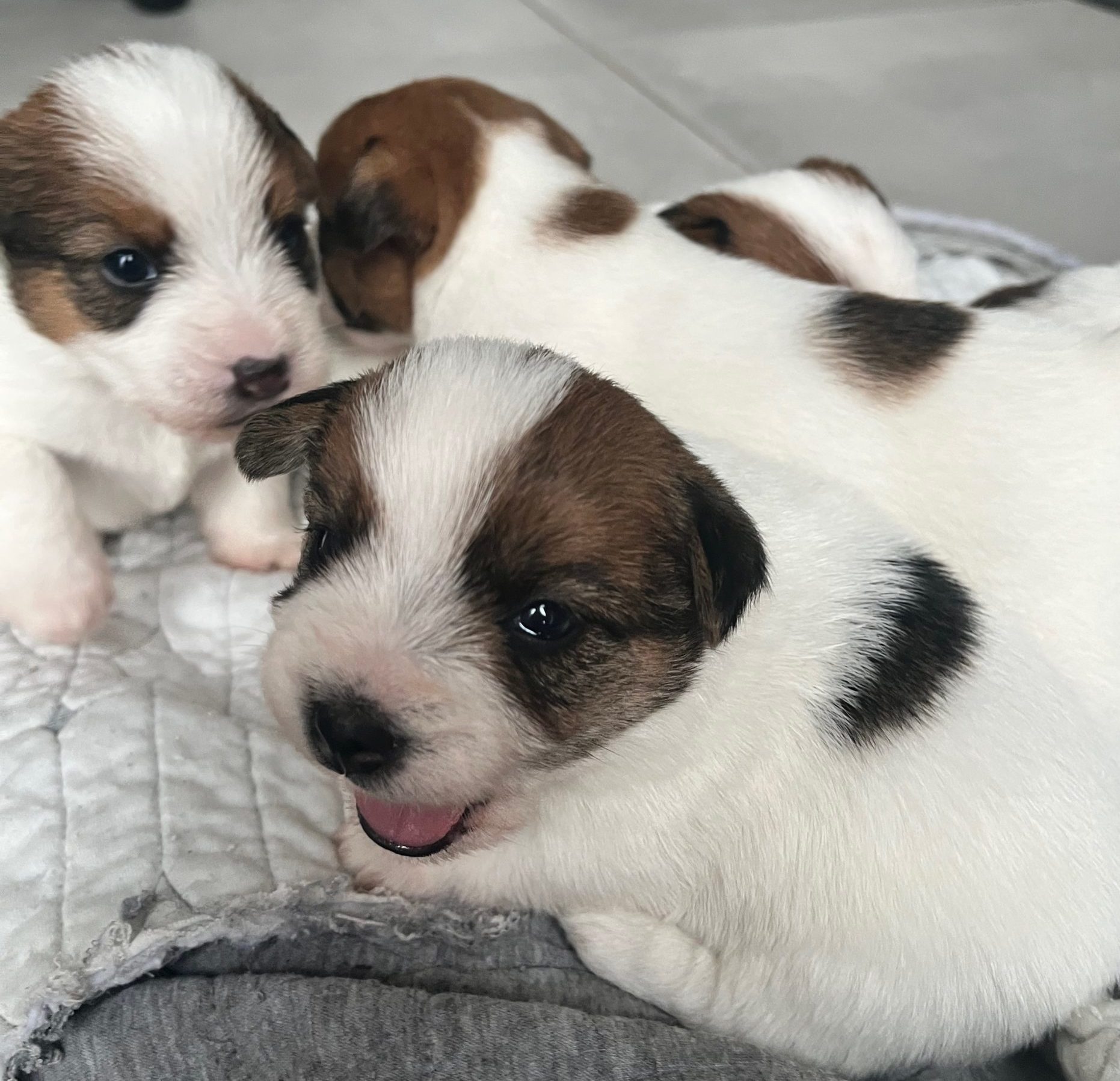 Make up 2023 - Le Jack de Brana - Le Teich, Arcachon - Aquitaine